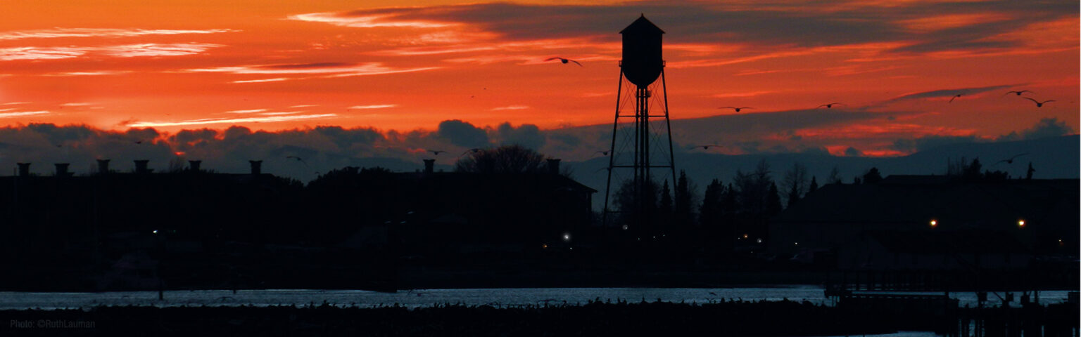 Spectacular Blaine by the sea sunsets