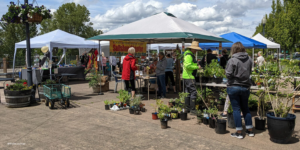 Blaine Market By The Sea Open-Air Craft and Produce market in downtown ...